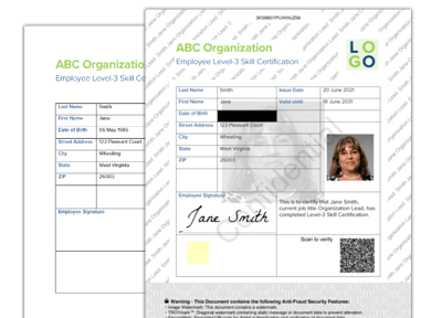 SecureDocs Sentry Overview Page | TROY Group